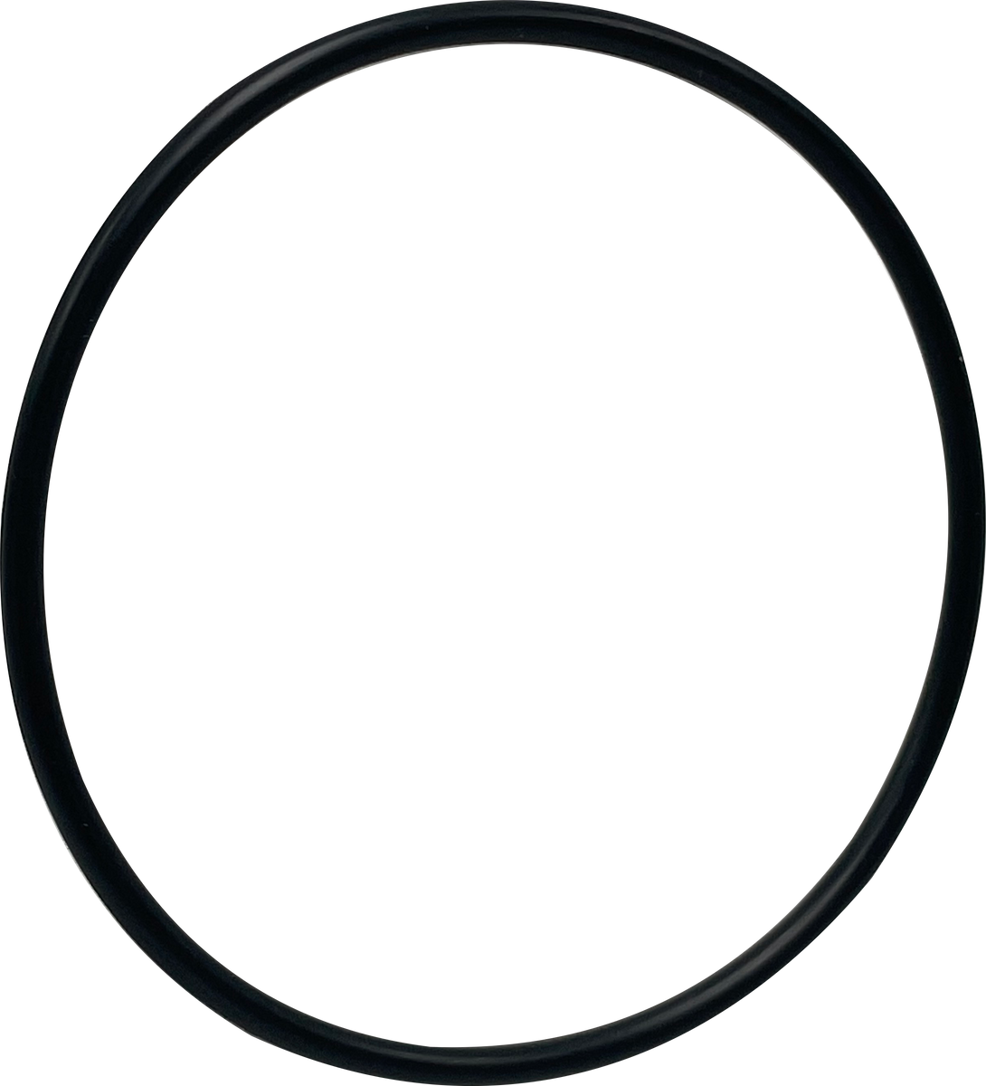 P10-FD0304 - O-ring – TS3Saw