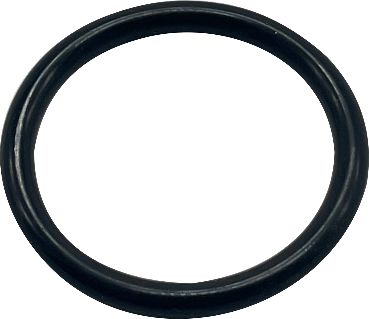 P10-GA1520 - O-Ring – TS3Saw